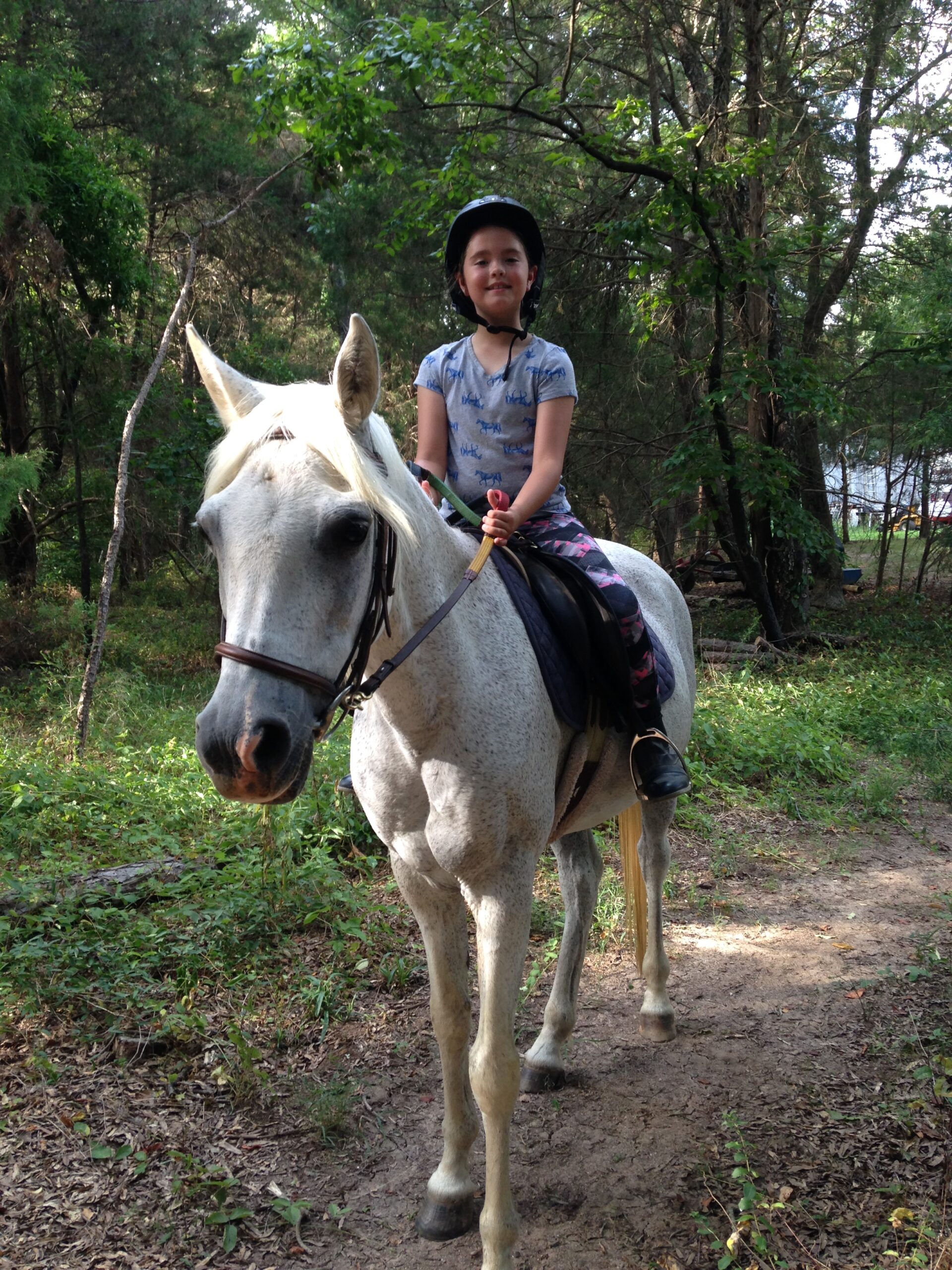 Contact Us | Blue Wave Stable