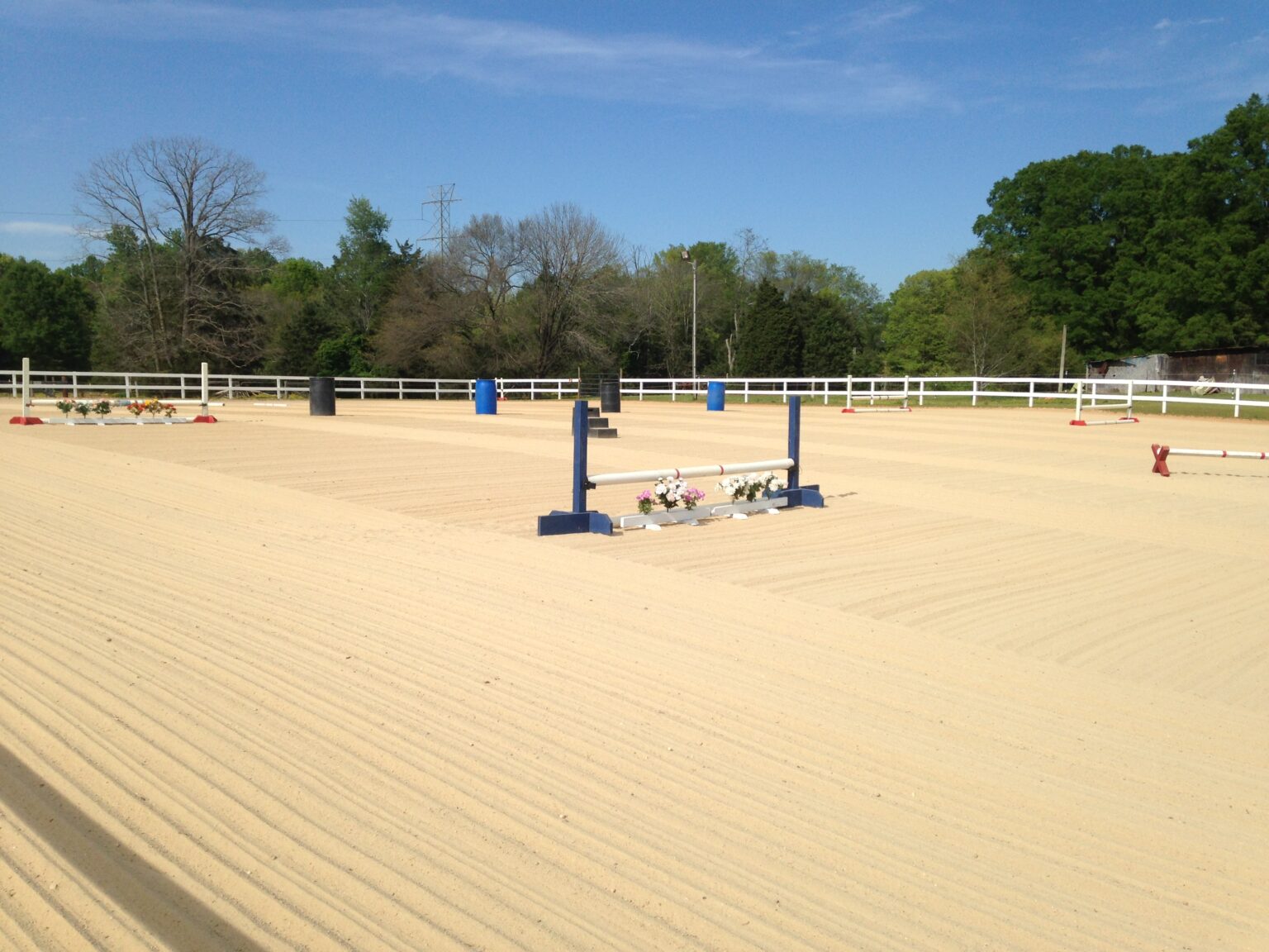 Horse Boarding, Equine full board, pasture board, horse care