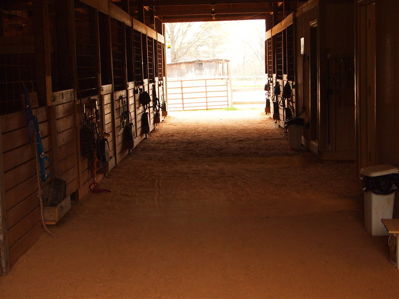 Horse Boarding, Equine full board, pasture board, horse care