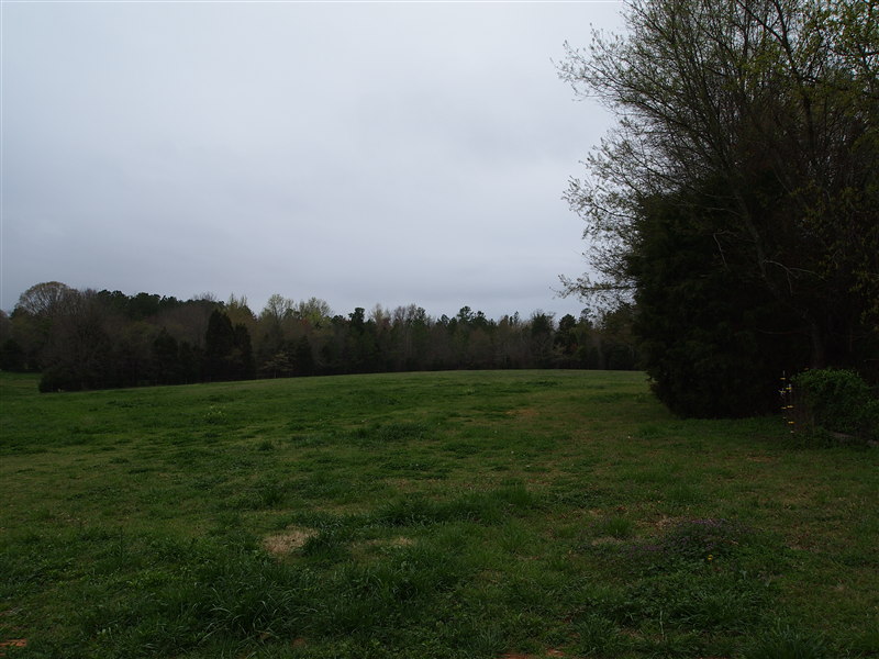 Horse Boarding, Equine full board, pasture board, horse care